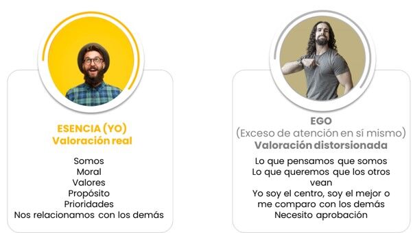 DISC, conoce qué es, en qué consiste y cómo se utiliza - LIT