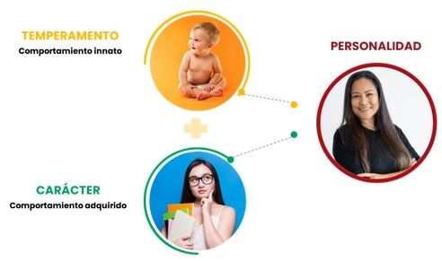 DISC, conoce qué es, en qué consiste y cómo se utiliza - LIT